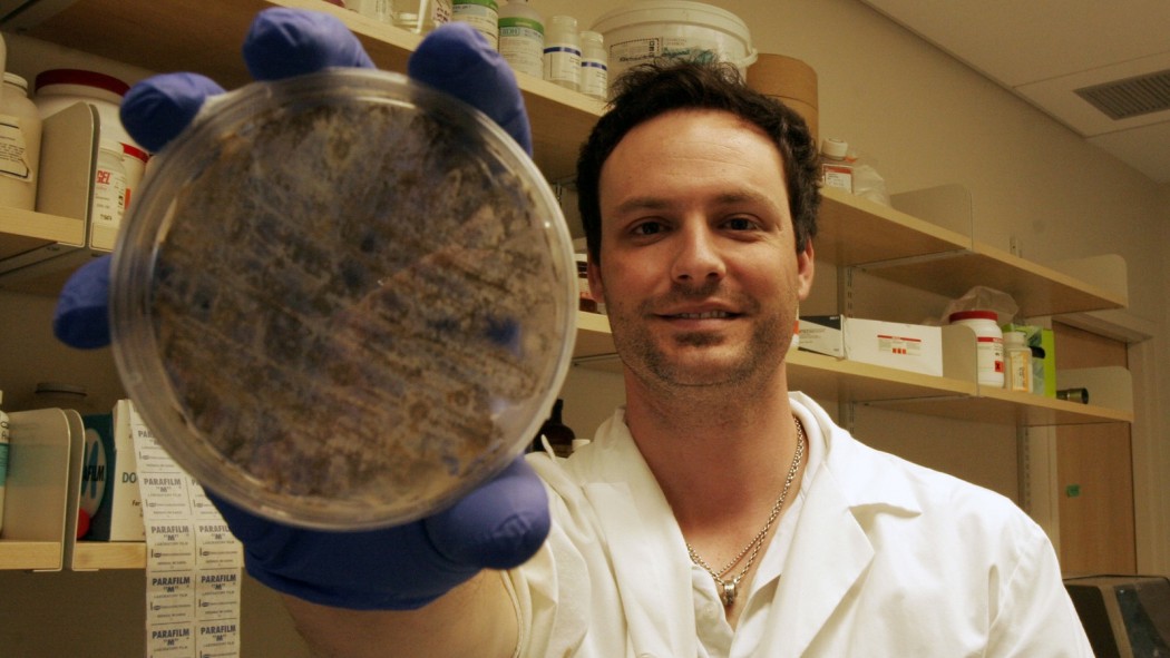Brock student’s fungus research published in top scientific journal ...