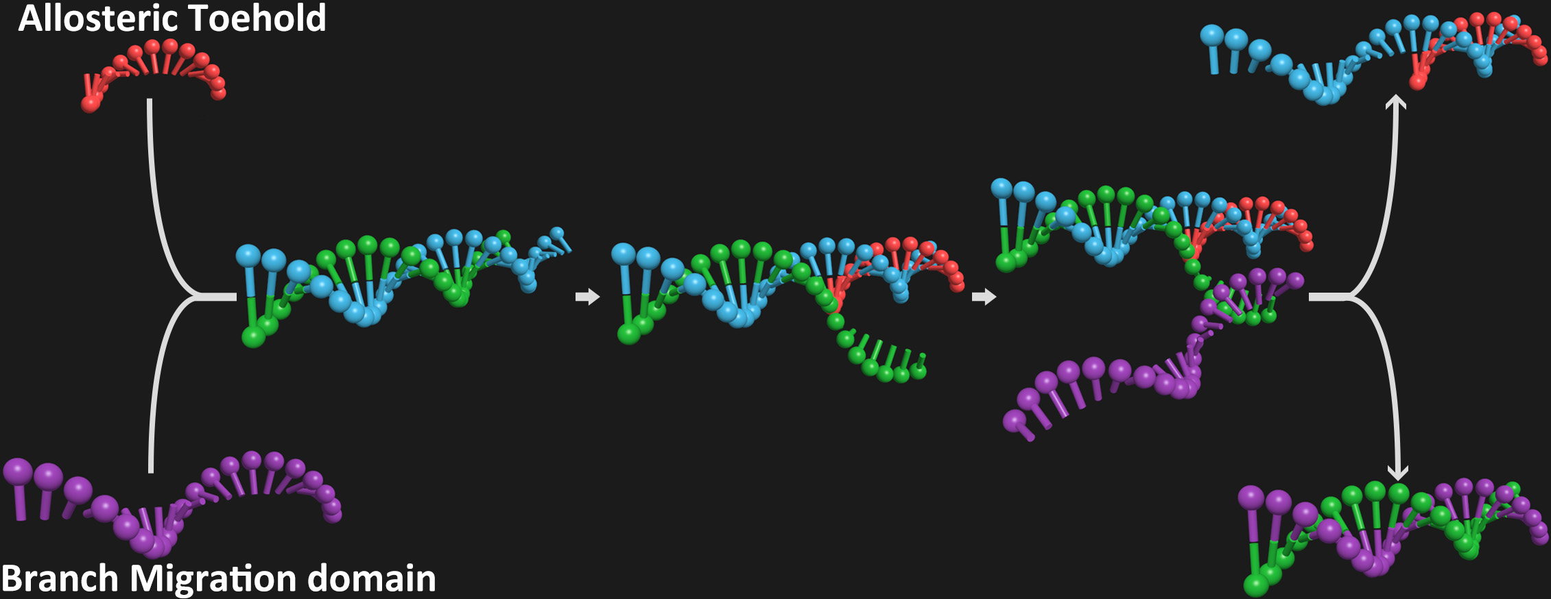 Computers with DNA? Brock team working to help make it happen – The ...