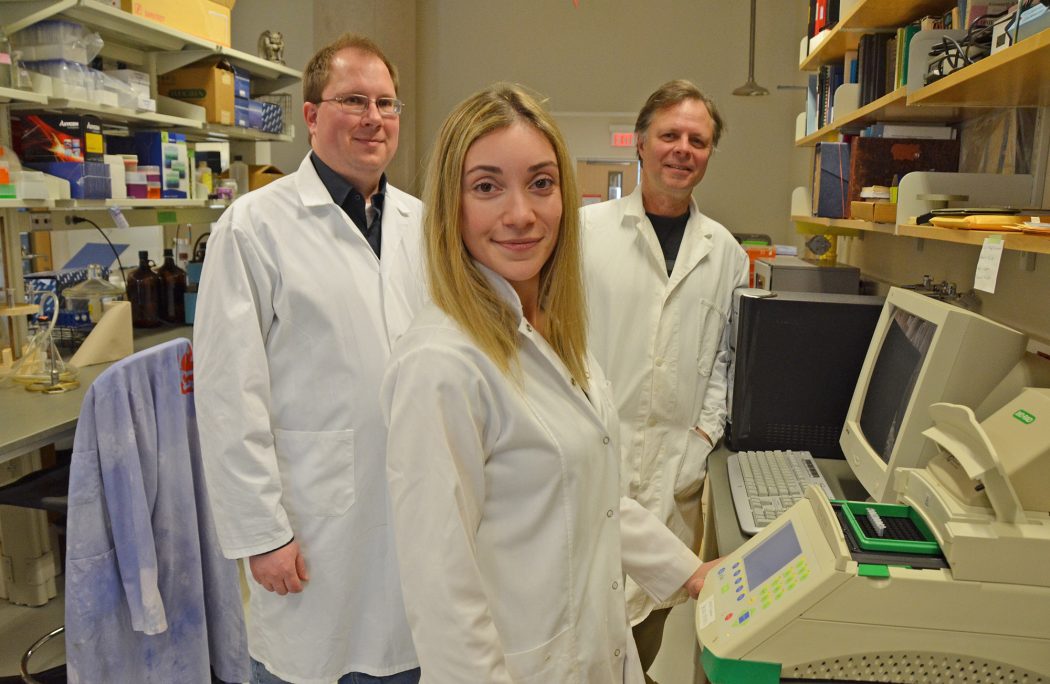 Fungus as fertilizer? Brock researchers find it’s even better than ...