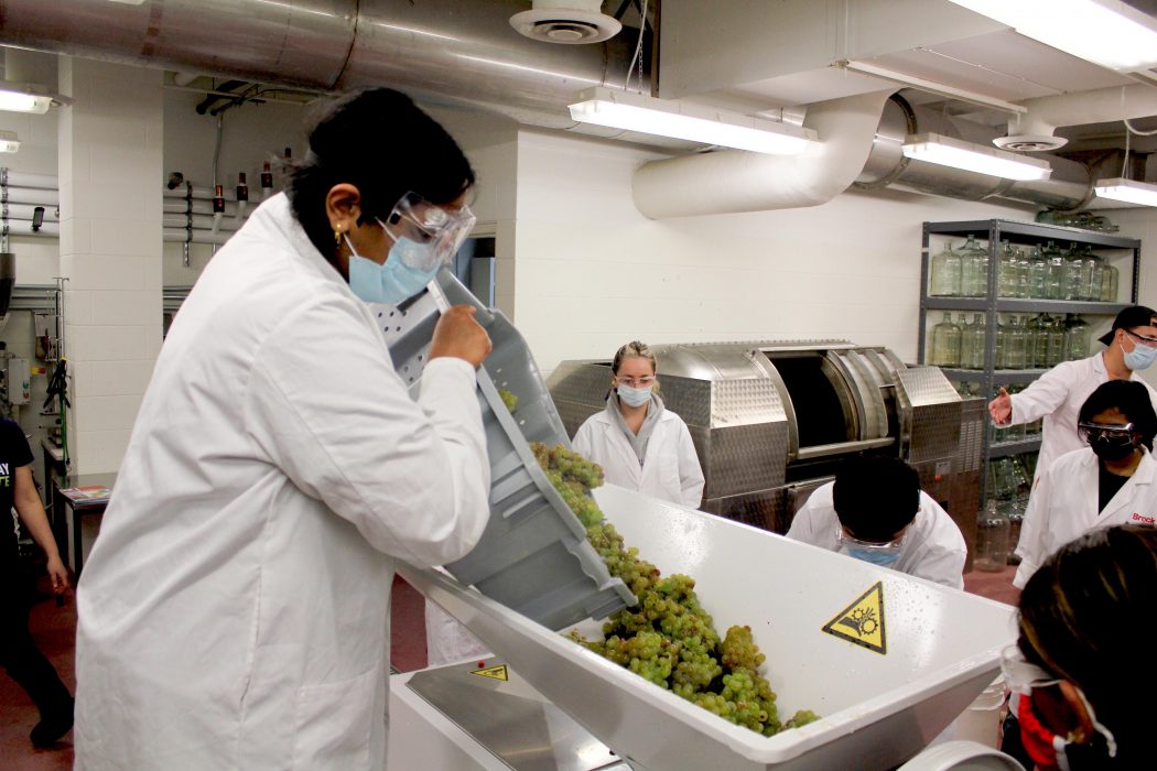 Brock students experience Niagara harvest – The Brock News