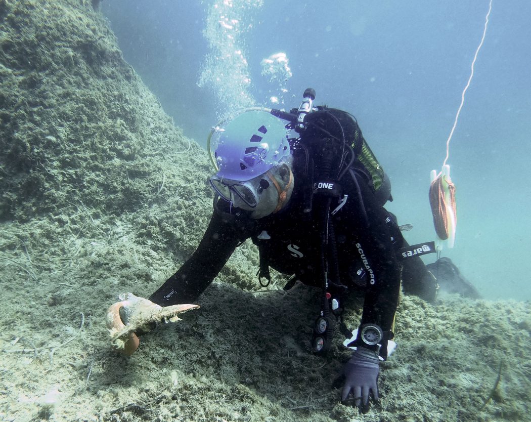 ‘Curious about the world’: 66-year-old grad spent studies diving for ...