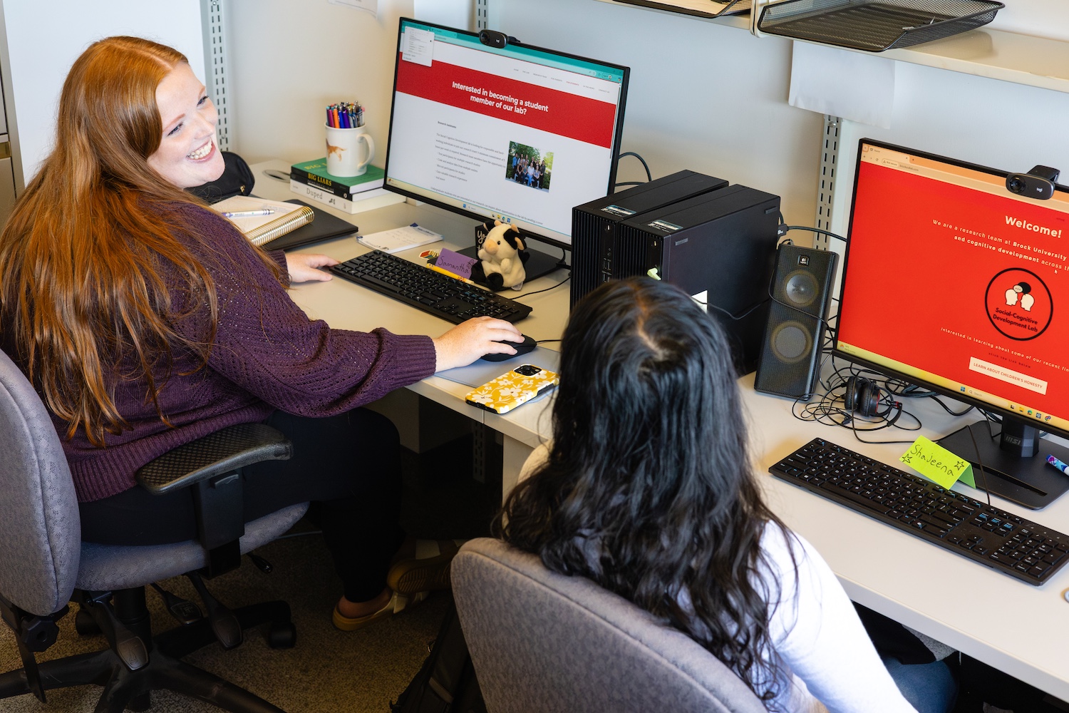 Bachelor of Science in Psychology (BSc) – Psychology