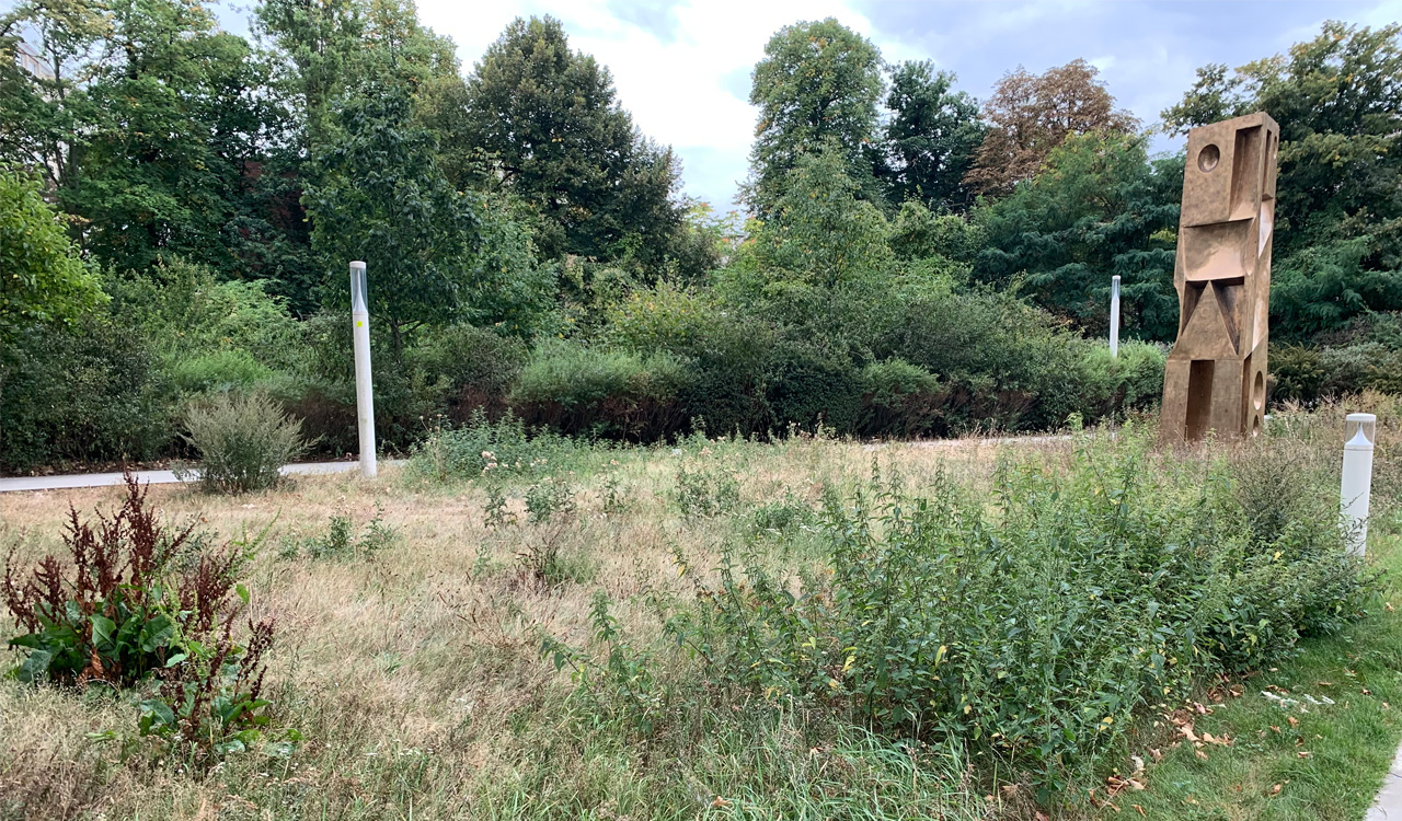 Bringing it Home: Pollinator Corridors in Niagara – UNESCO Chair
