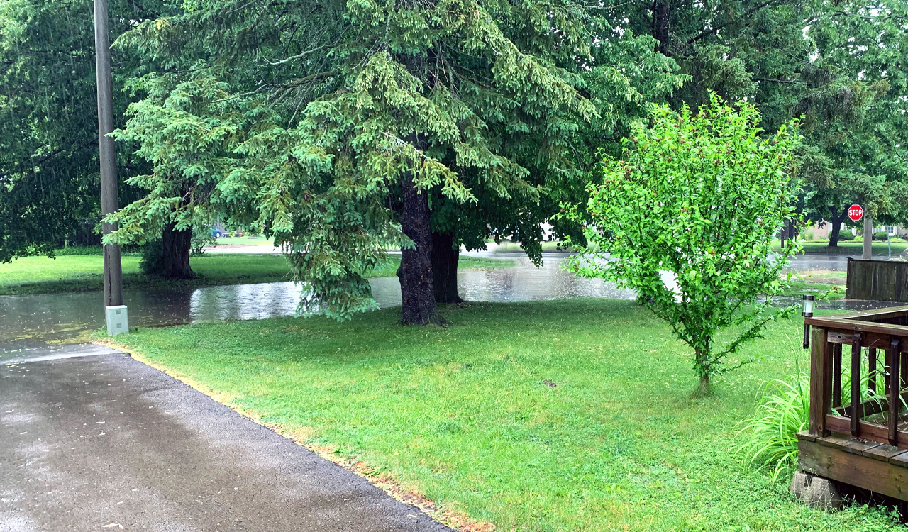 Water is Life: Rain gardens, barrels and bioswales – UNESCO Chair