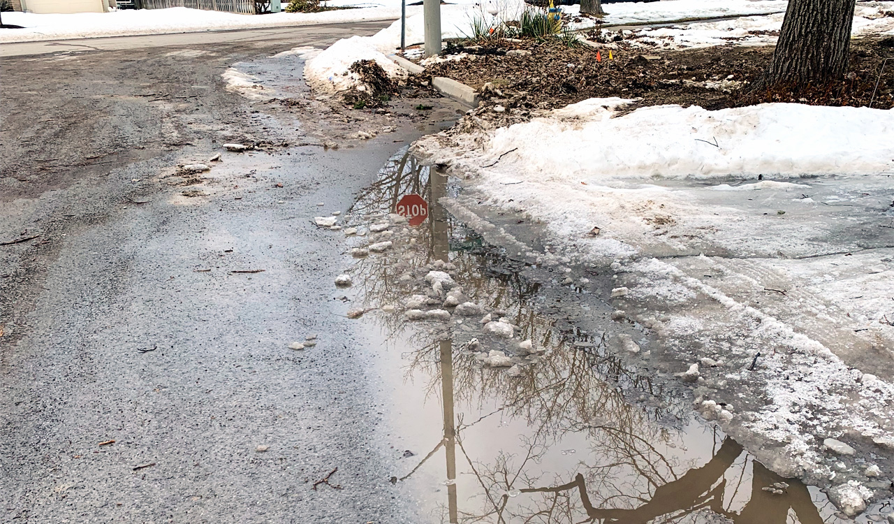 Water is Life: Rain gardens, barrels and bioswales – UNESCO Chair